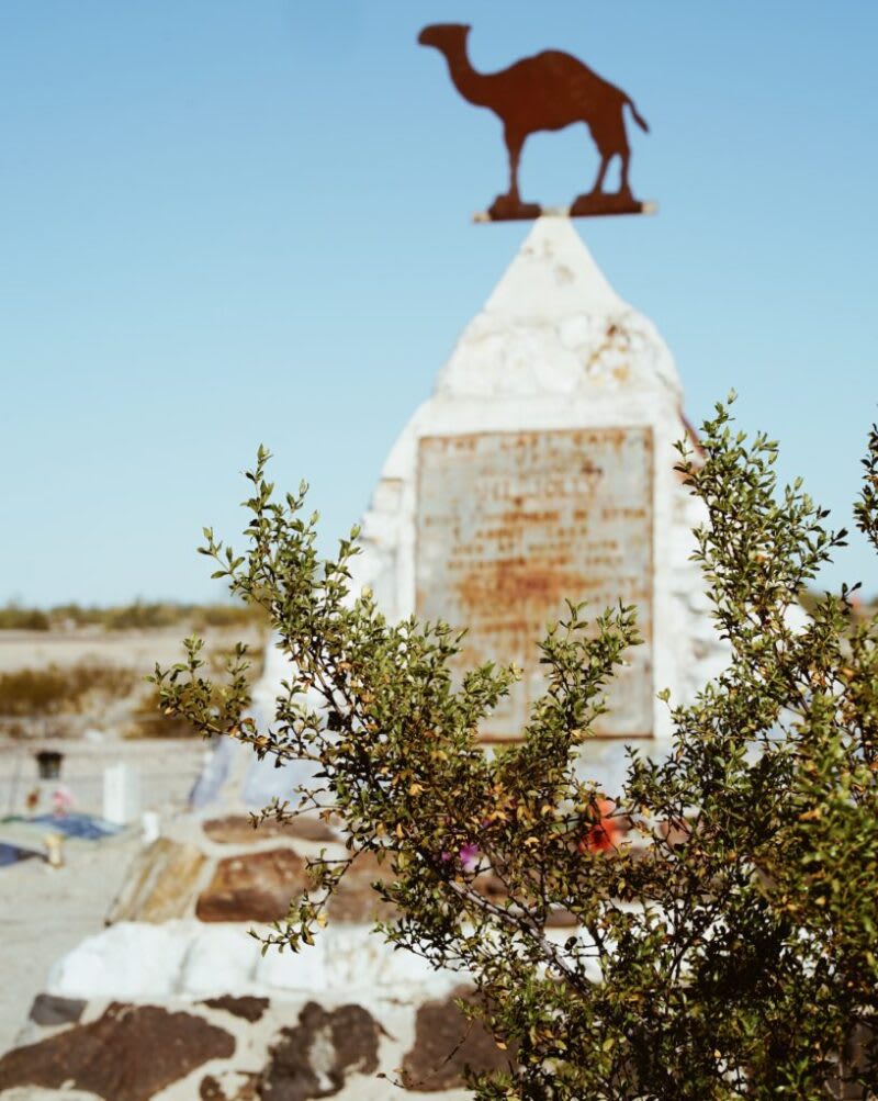 Quartzsite Road Trip Guide: Visit the Largest RV Gathering Town in ...