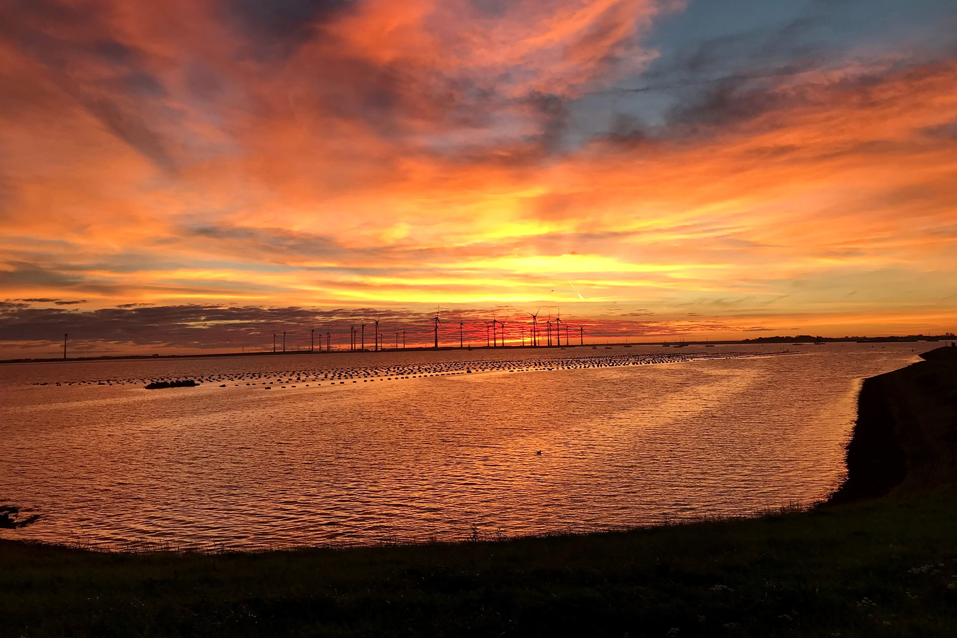 Fietsroute door Bruinisse, Anna Jacobapolder, Sirjansland