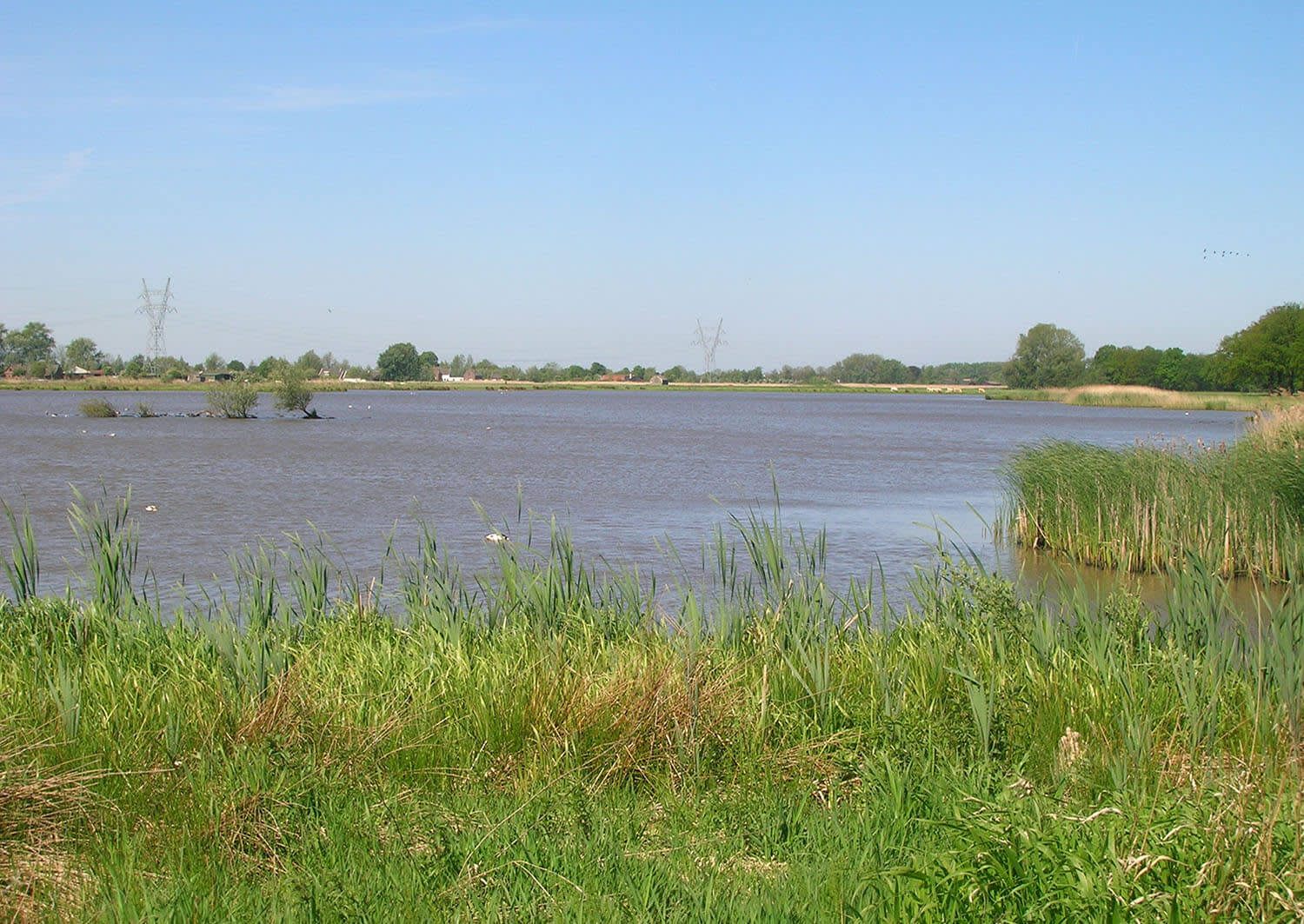 Fietsroute door Bussum, Naarden, Naardermeer