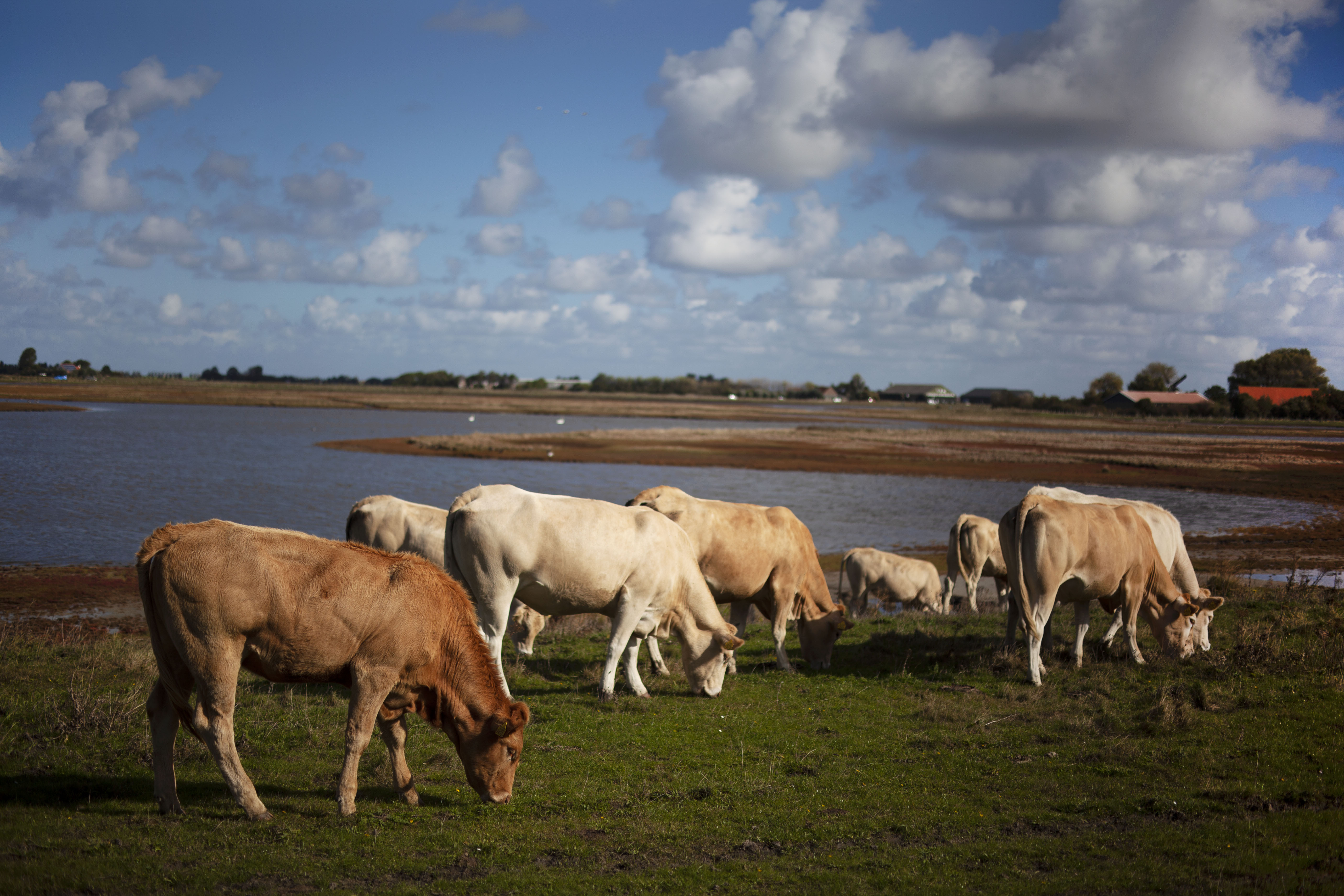 Fietsroute door Mariënberg, Noordmeer, Sibculo