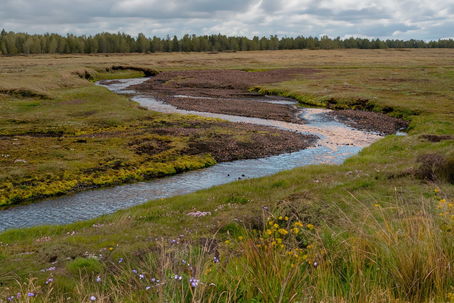 Fietsroute door Hoogeveen, Pesse, Drijber