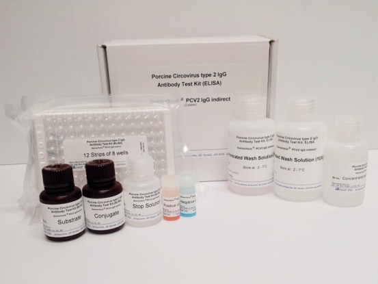Swinecheck® PCV2 IgG indirect - labconsult.be