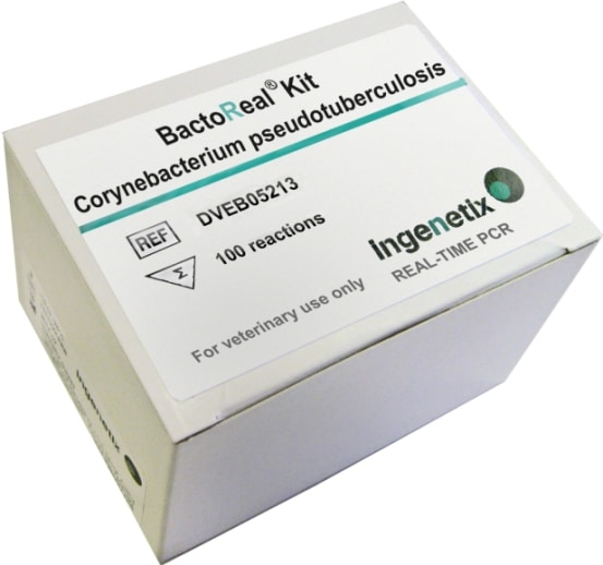 BactoReal® Kit Corynebacterium pseudotuberculosis - labconsult.be