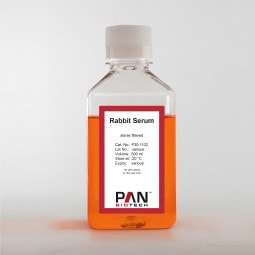 Rabbit serum, sterile filtered - labconsult.be