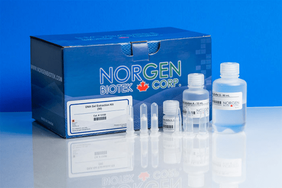 DNA Gel Extraction Kit - labconsult.be