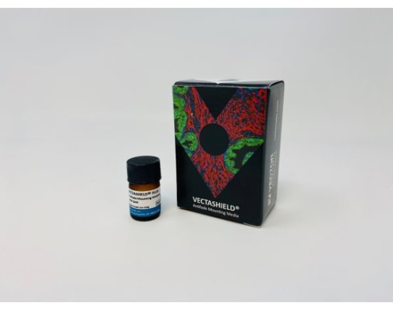 VECTASHIELD® PLUS Antifade Mounting Medium with DAPI - labconsult.be