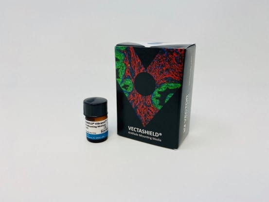 VECTASHIELD Vibrance Antifade Mounting Medium with DAPI - labconsult.be