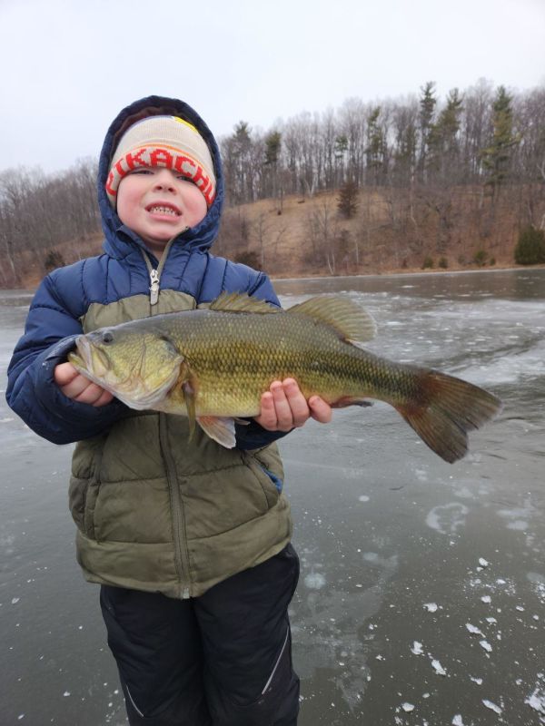 Lake-Link Idaho - Fish Idaho lakes and Idaho travel information.