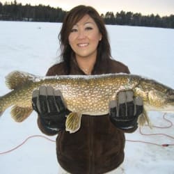 Lake Alice (WI) – Fishing, Map & Access | Lake-Link