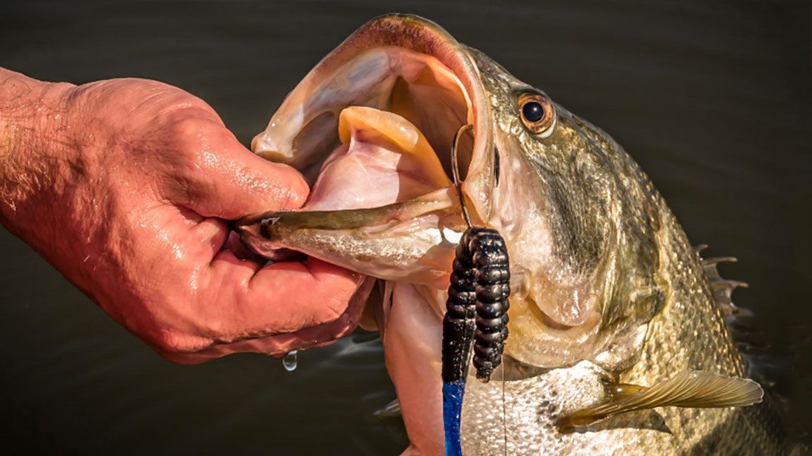 Lake-Link - Find a Lake and find your fishing spot.