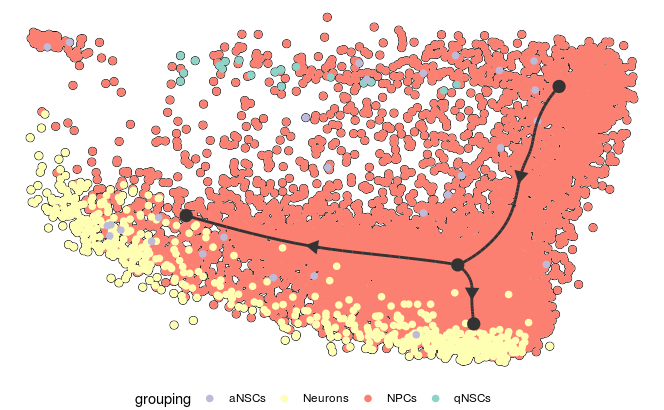 How to make points smaller in plot_dimred · Issue #40 · dynverse/dynplot · GitHub