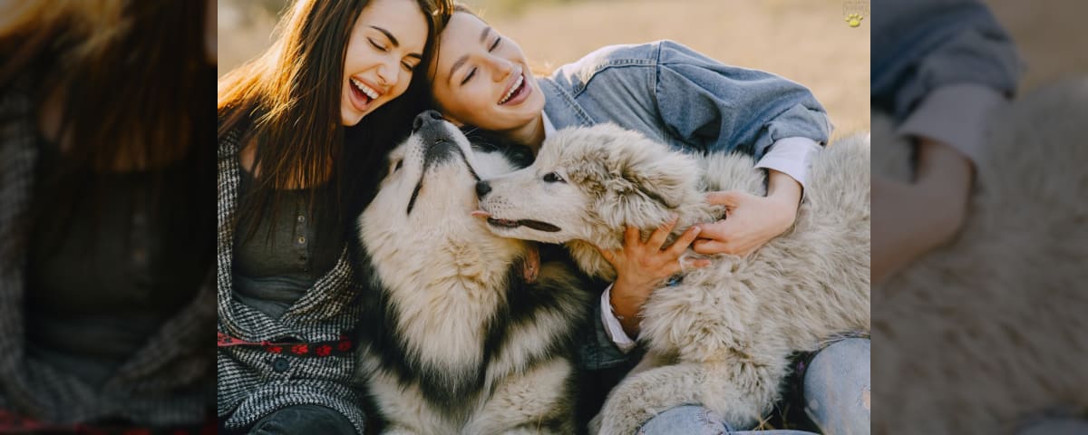 5 Health Benefits Owning Dog | Lancaster Puppies 5 Health Benefits Owning Dog | Lancaster Puppies