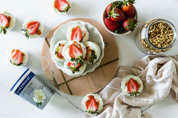 Frozen Yoghurt Snacks