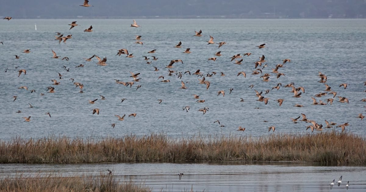 Connecting people with nature - Land Trust Alliance
