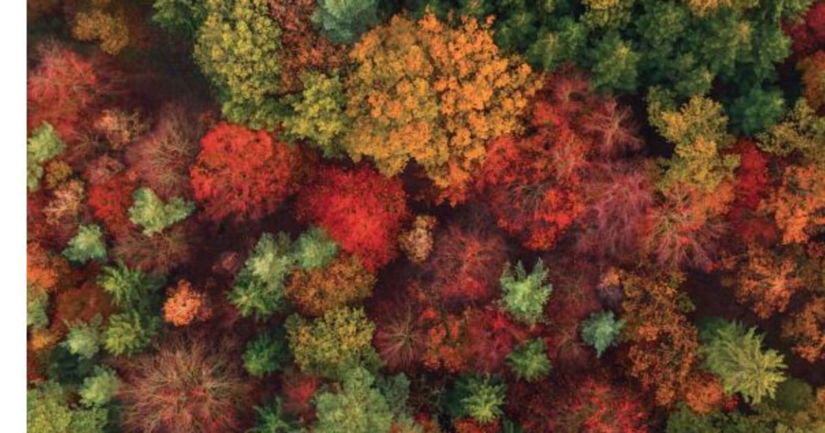 Saving Land, Fall 2021 (Vol. 40 No. 4) - Land Trust Alliance