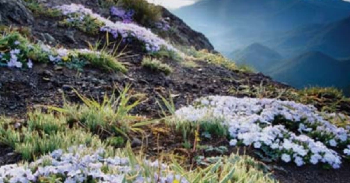 Saving Land, Spring 2006 (Vol. 25 No. 2) - Land Trust Alliance