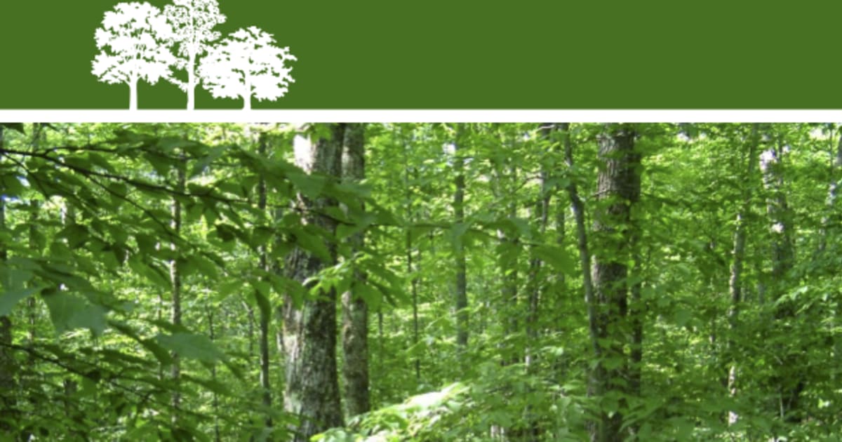 Helping Your Woodland Adapt To A Changing Climate Land Trust Alliance