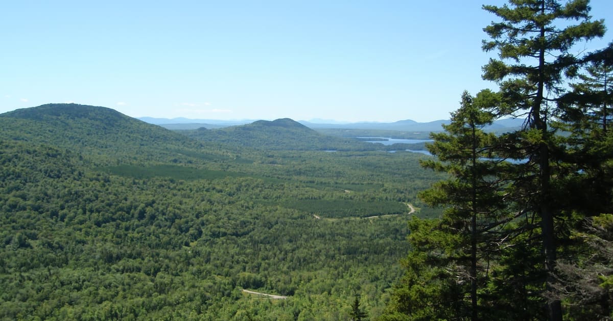Forest Society of Maine - Land Trust Alliance