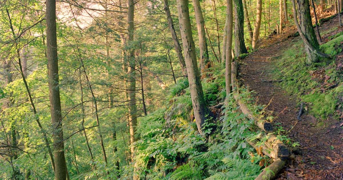 Mianus River Gorge, Inc. - Land Trust Alliance