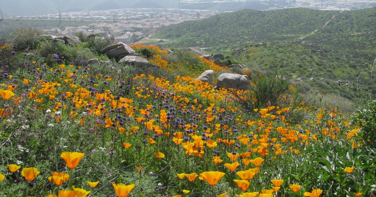 Center for Natural Lands Management - Land Trust Alliance