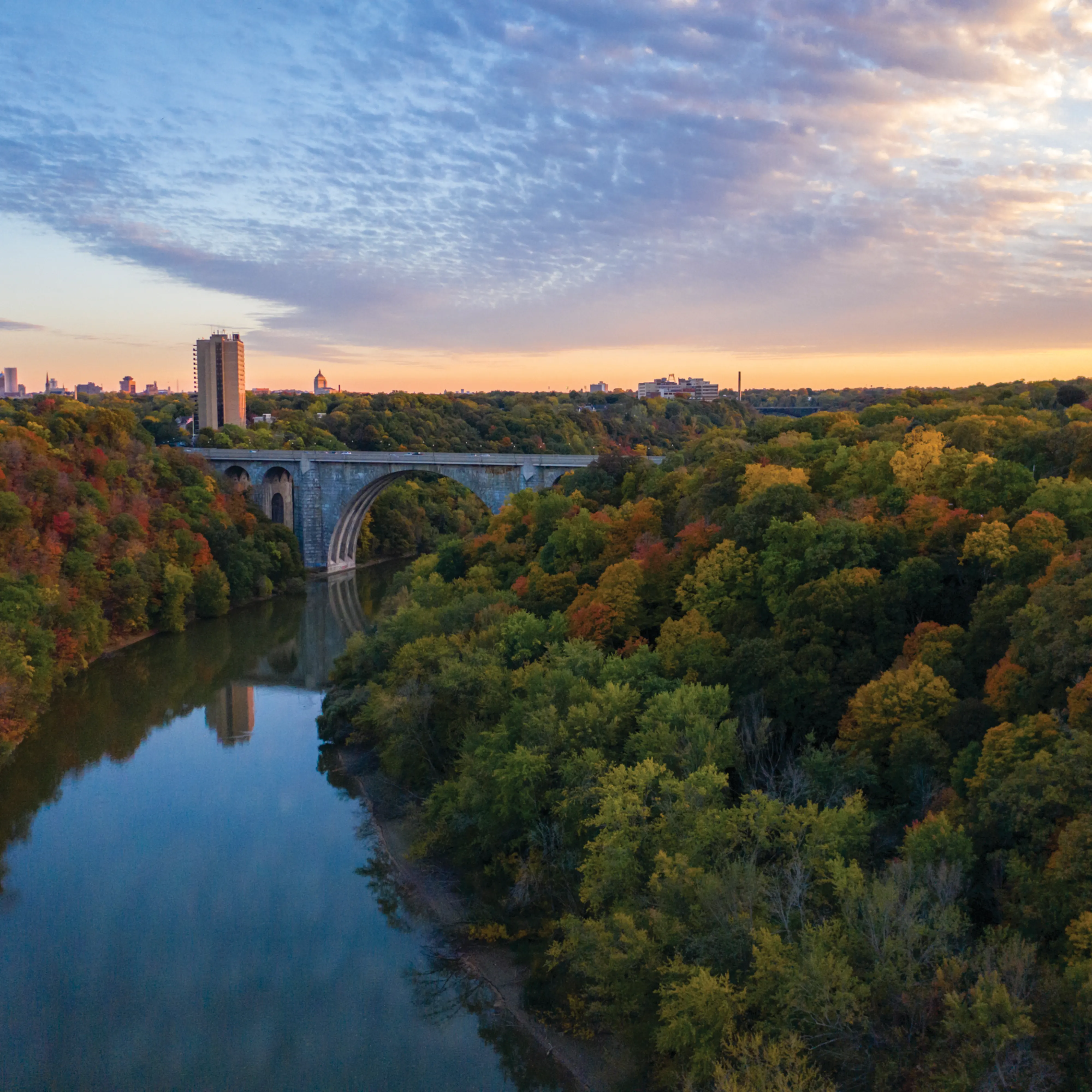 Building Capacity for Conservation and Stewardship - Land Trust Alliance