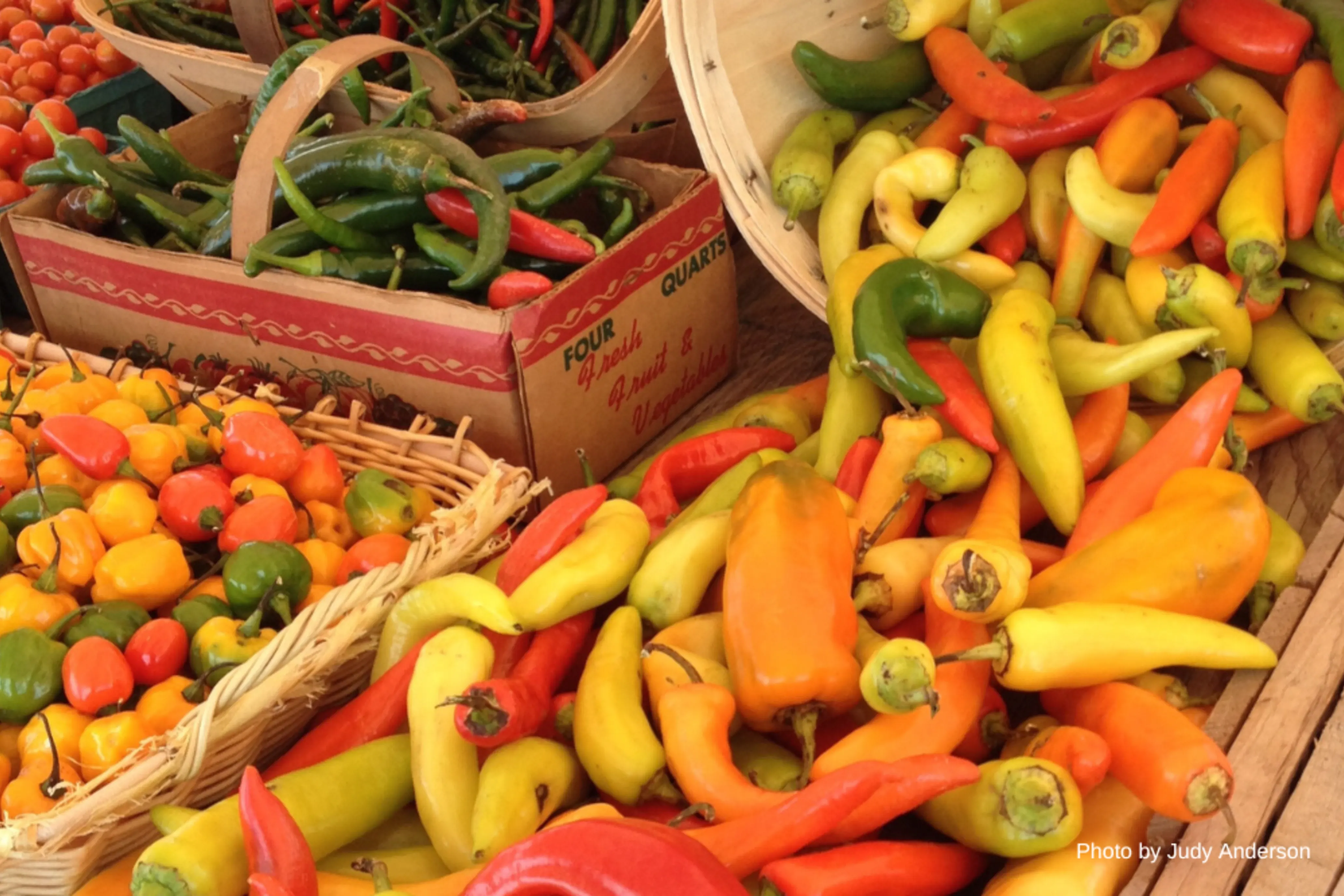 Connecticut program aims to address historical inequities in ...