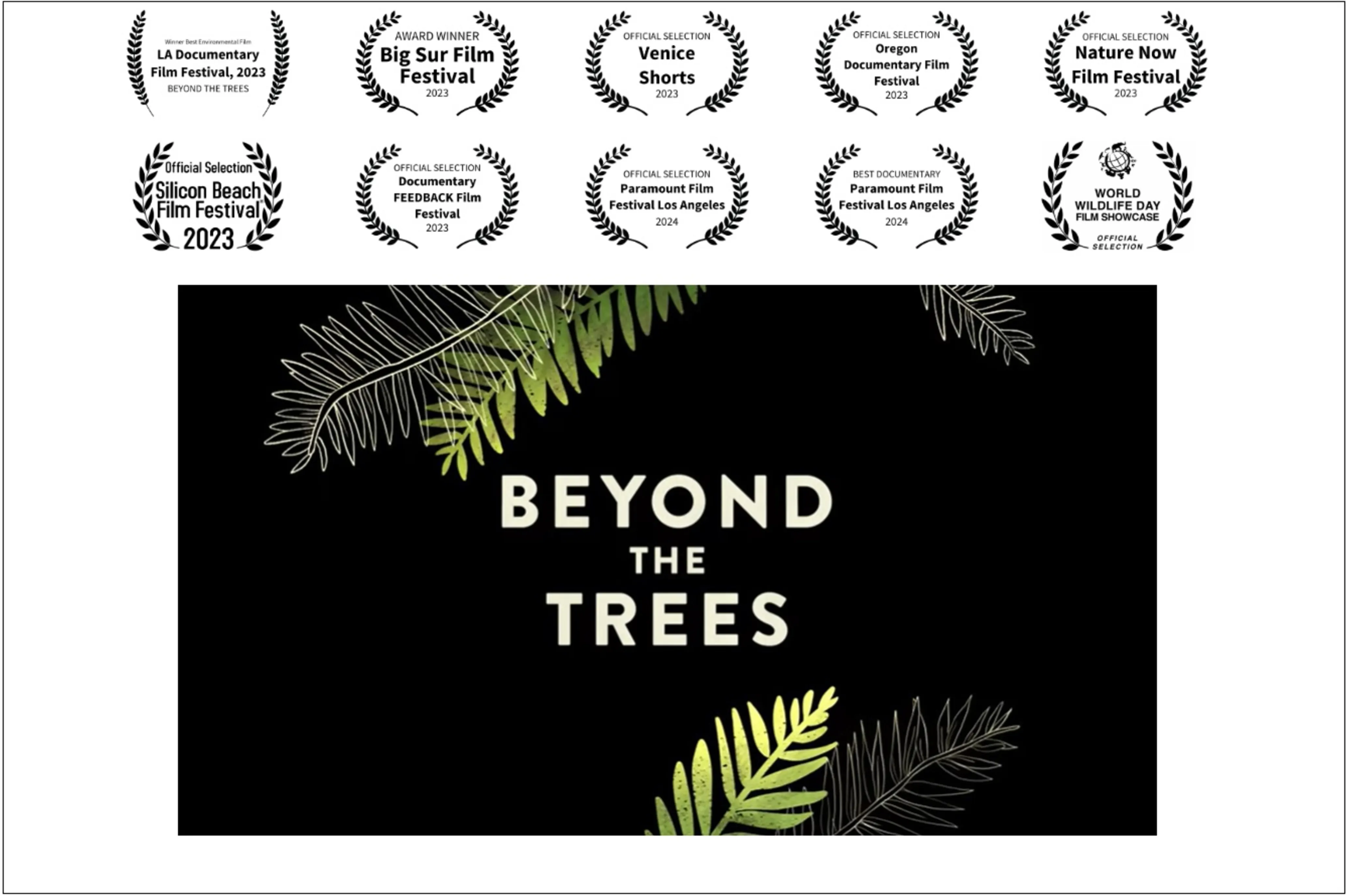 Award-winning documentary chronicles forest conservation along the ...