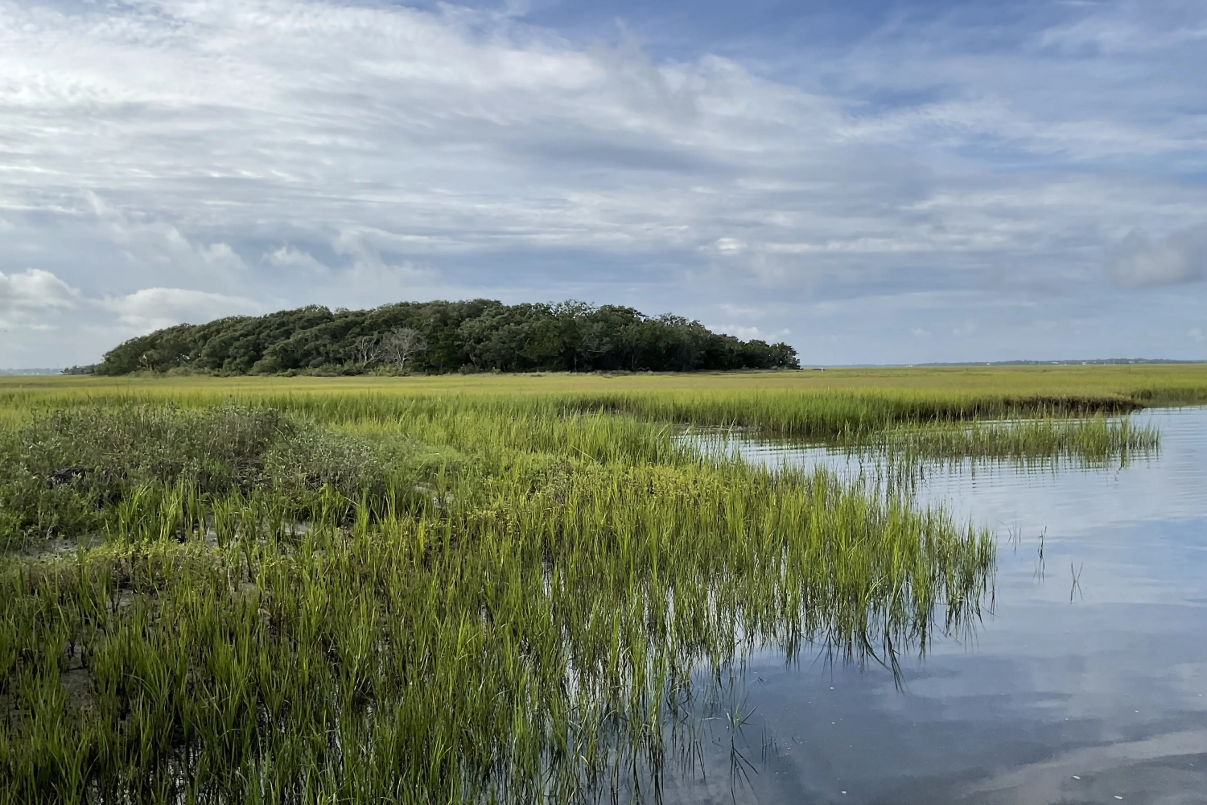 Florida’s Little Tiger Island is finally protected - Land Trust Alliance