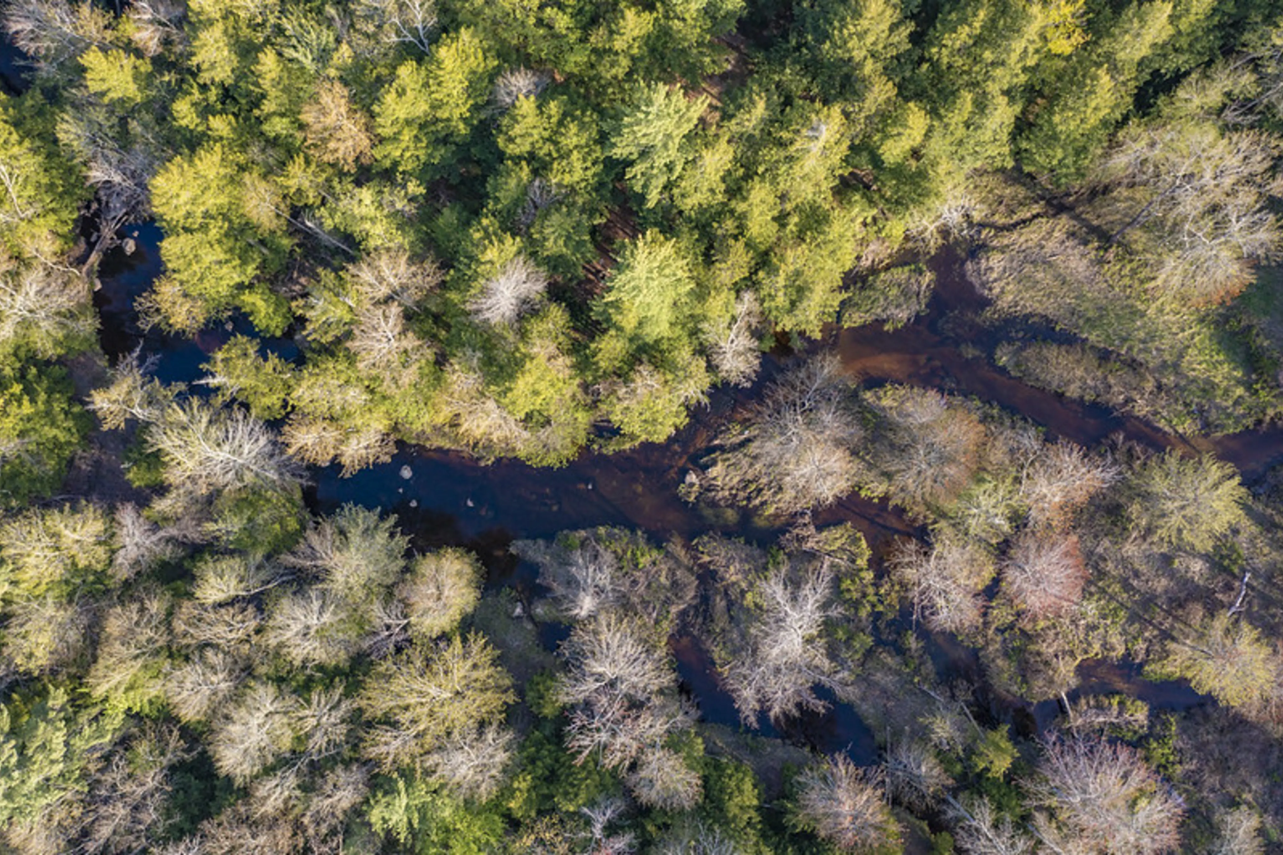 Southeast Land Trust of New Hampshire conserves 558 acres, protecting ...