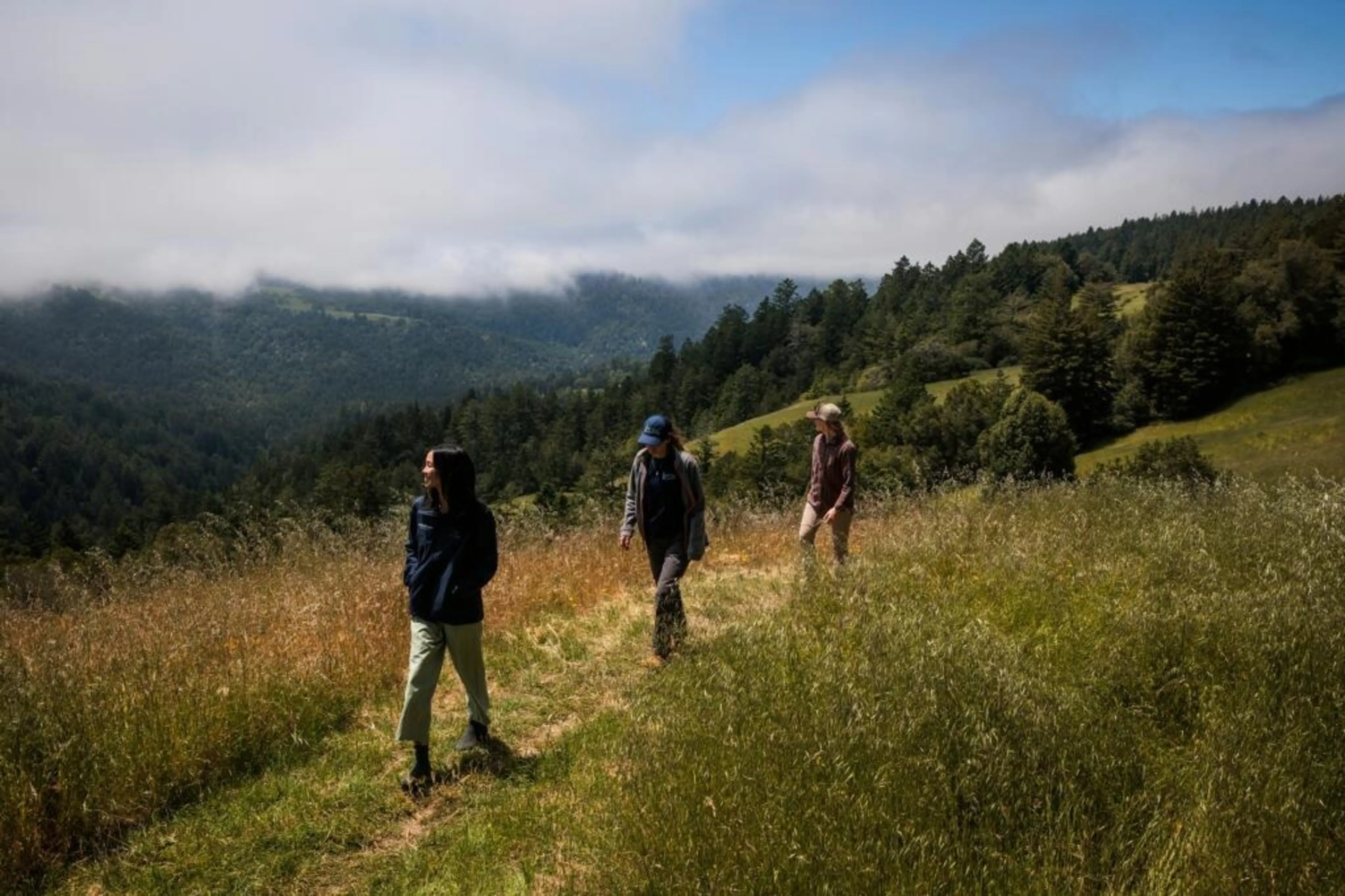 Save the Redwoods League to conserve 1,500+ acres of California redwood ...