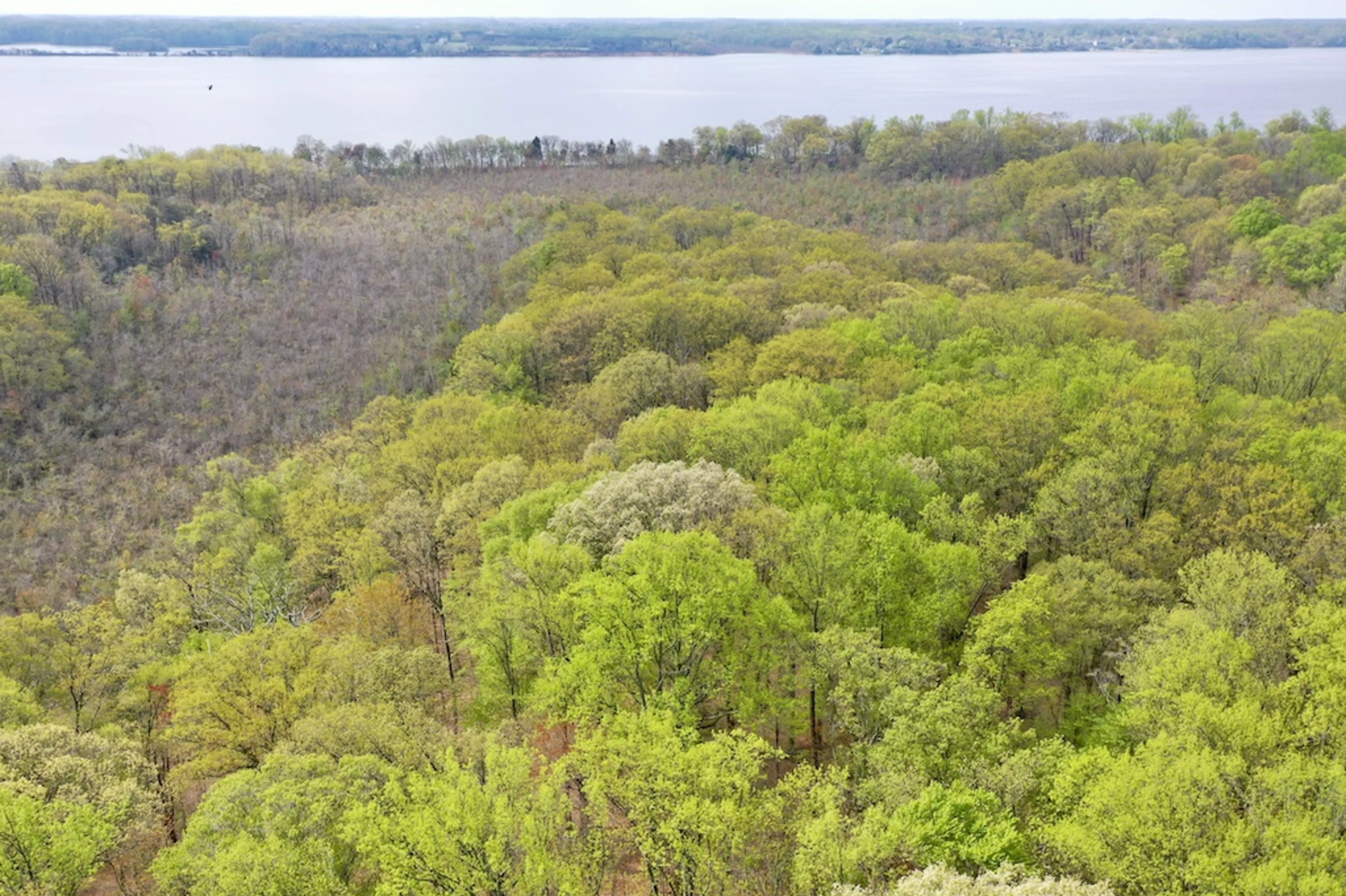 Former Girl Scout camp finds new life thanks to Maryland land trust ...