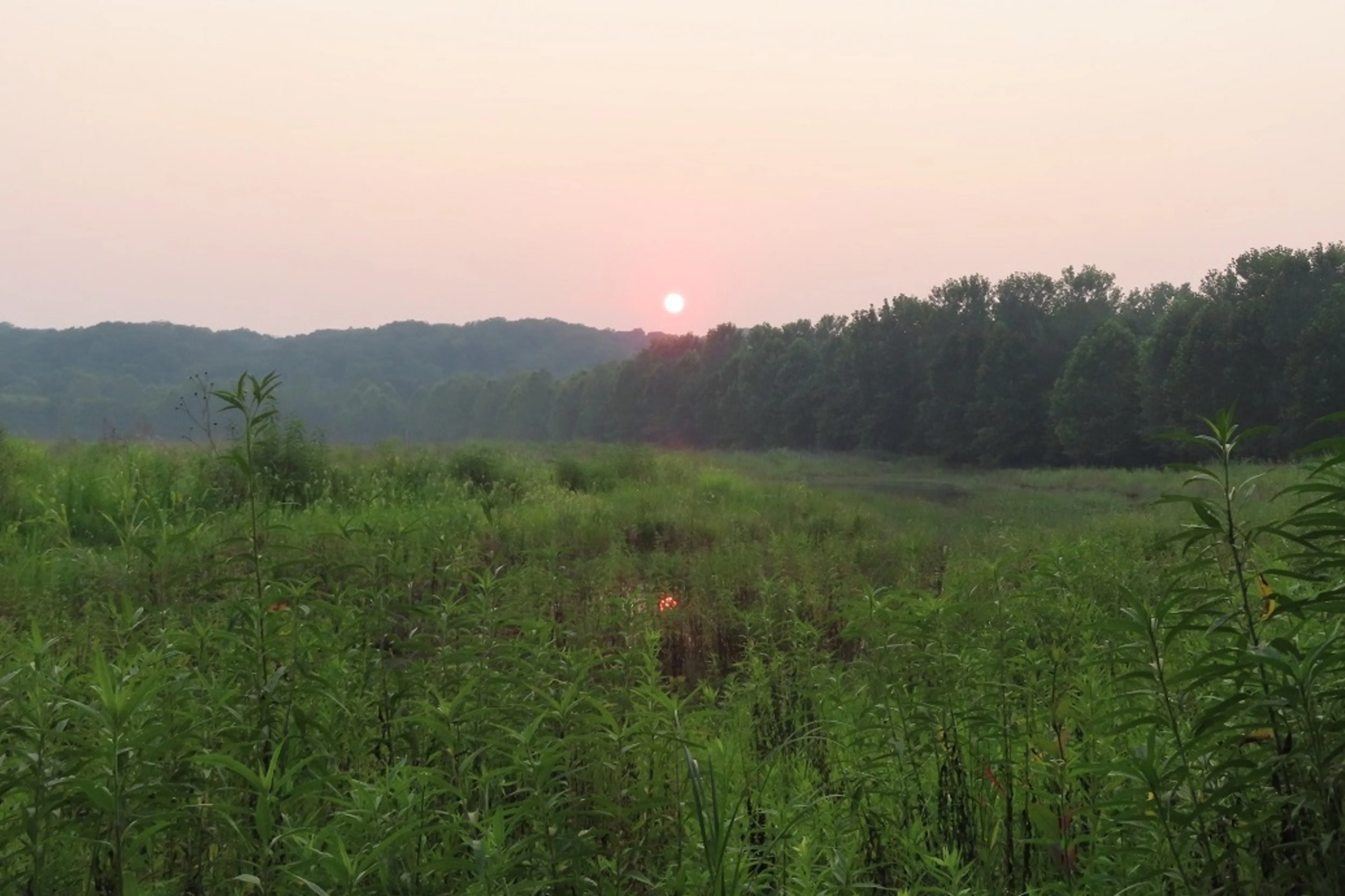 Grand Prairie Friends aims to make nature accessible to everyone - Land ...