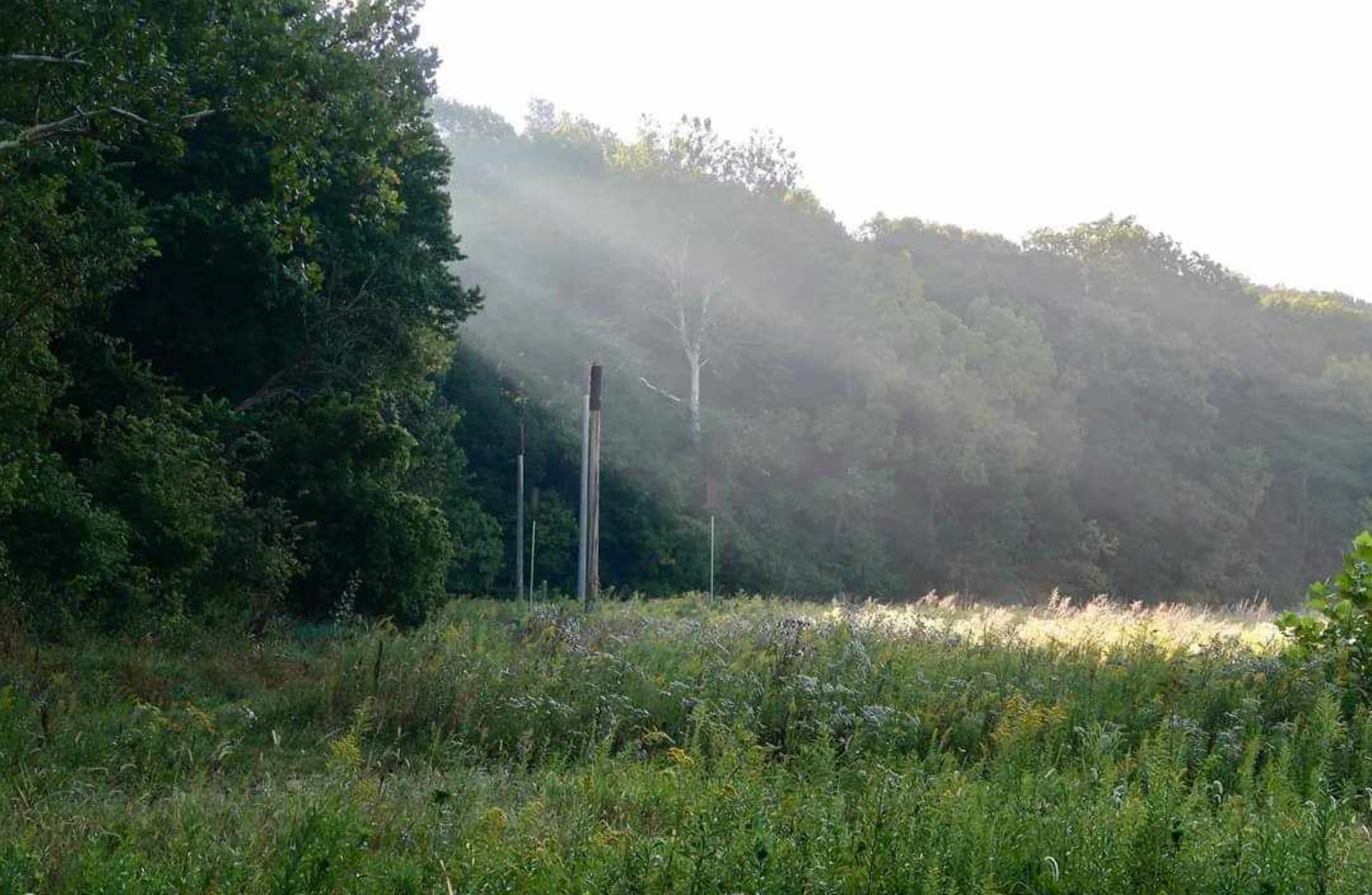 Grand Prairie Friends aims to make nature accessible to everyone - Land ...