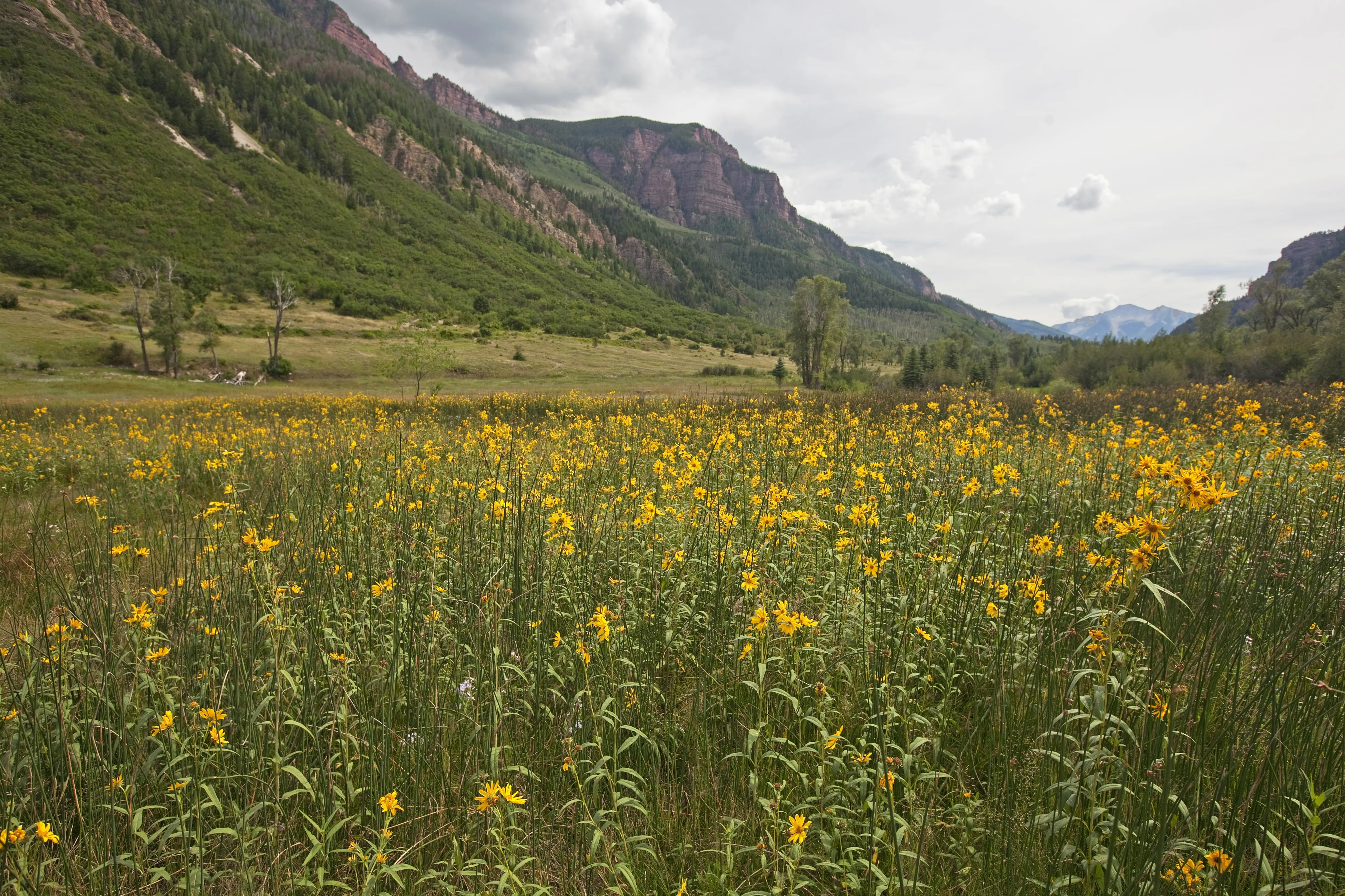 Relearning the History of Land Conservation - Land Trust Alliance