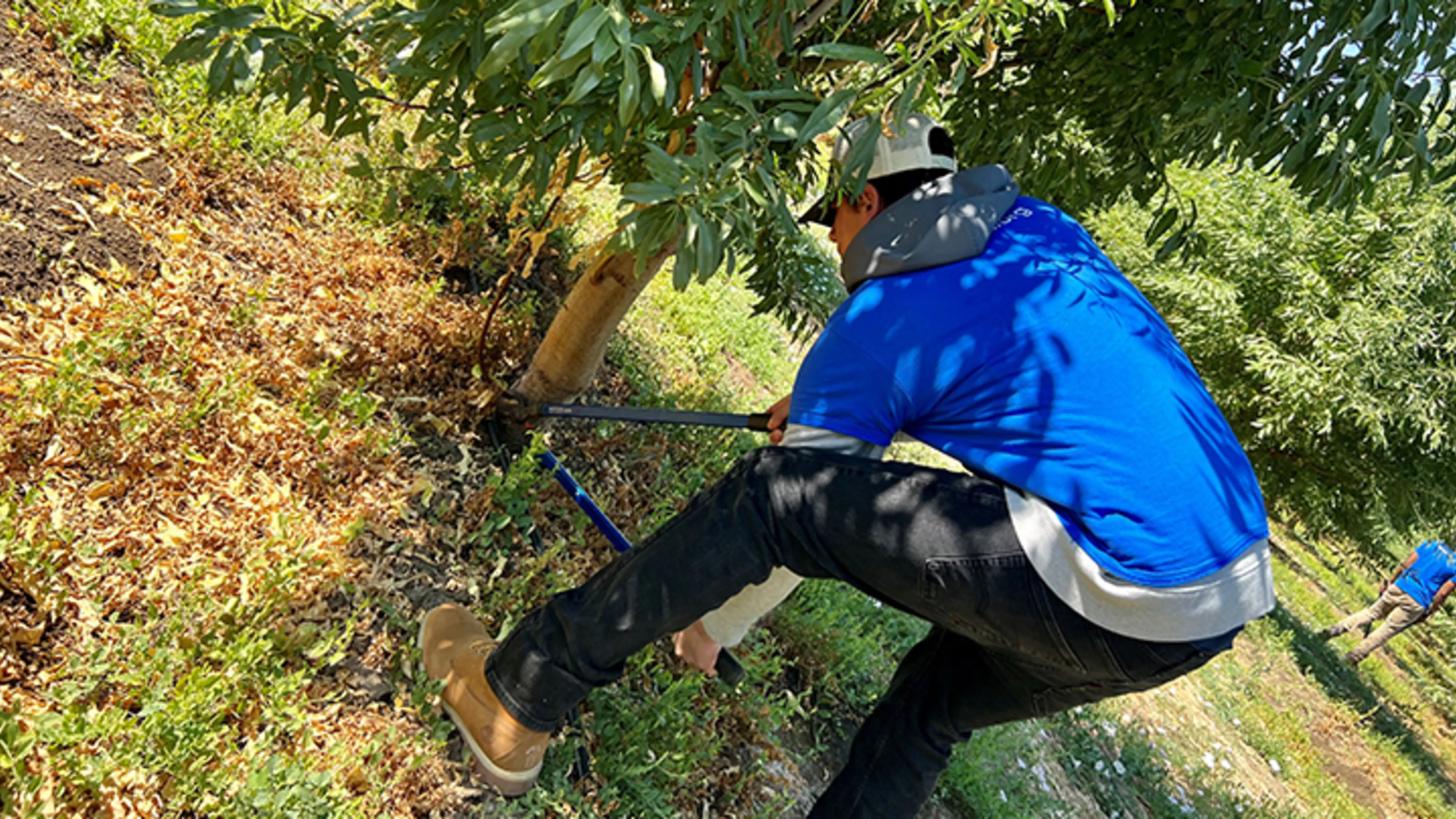 Summer youth employment program shows local youth careers on working lands - Land Trust Alliance