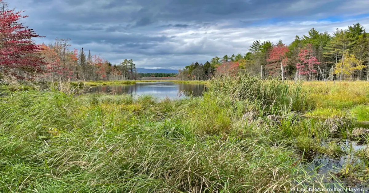 Greater Lovell Land Trust Land Trust Alliance