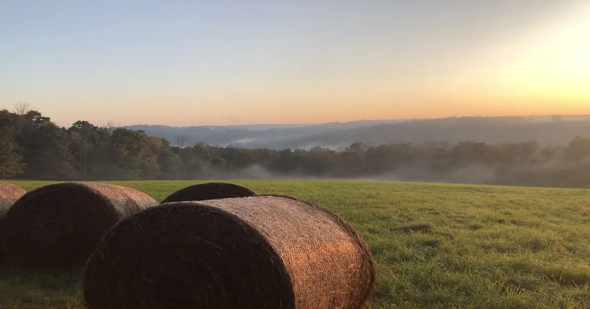 Countryside Conservancy - Land Trust Alliance