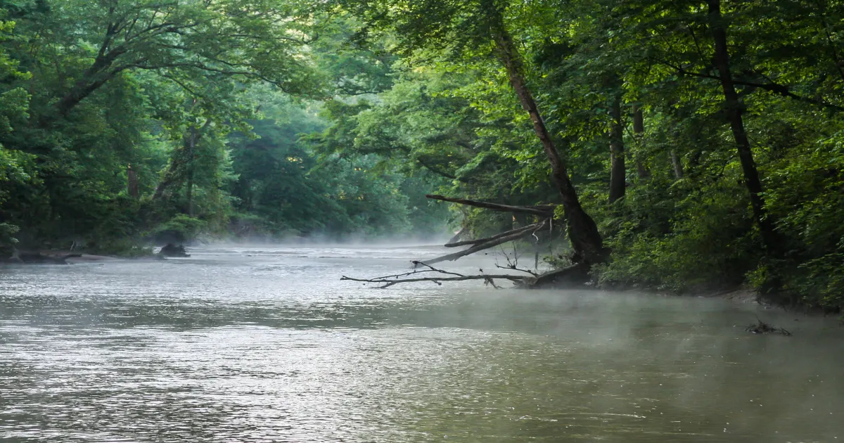 Freshwater Land Trust - Land Trust Alliance