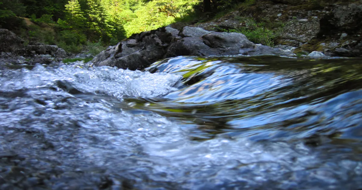 Wild Rivers Land Trust - Land Trust Alliance