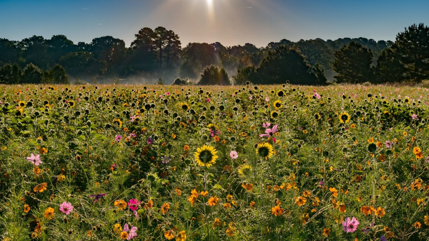 Conservation Planner - Land Trust Alliance