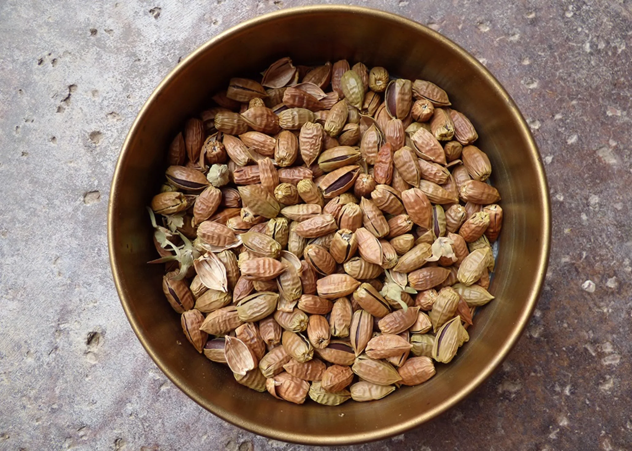 Desert seed bank expands to conserve rare, threatened and endangered ...