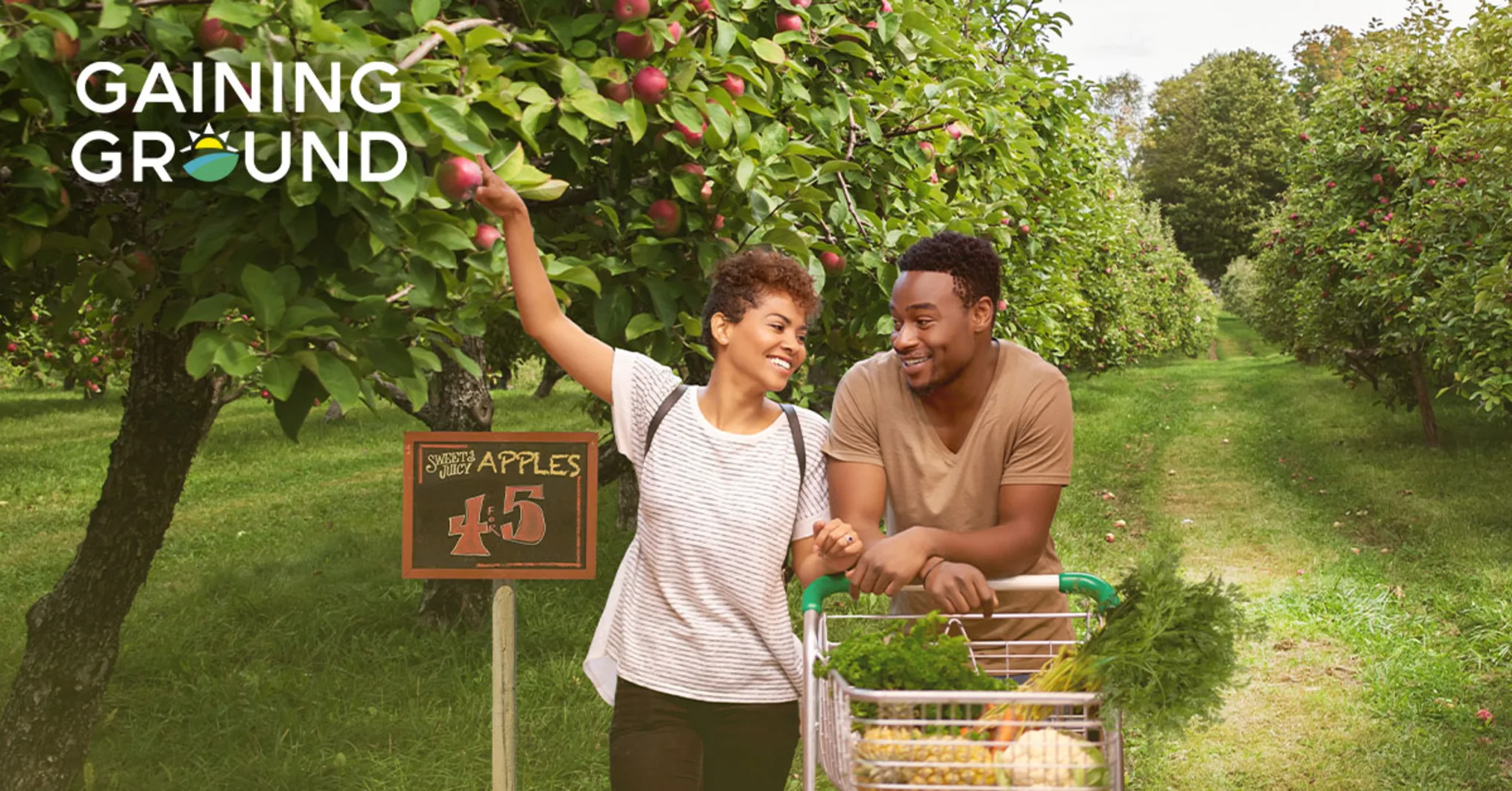 New Gaining Ground initiative aims to mobilize Americans to combat ...