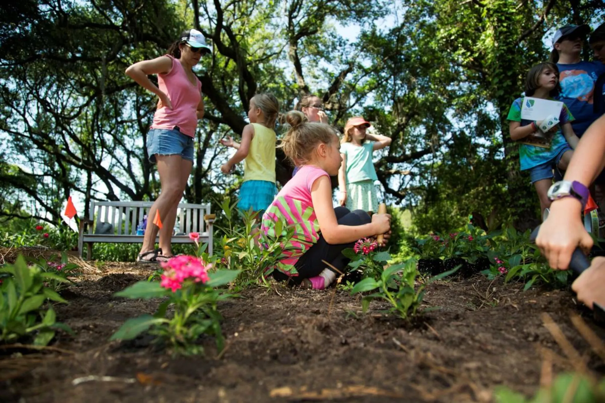 The importance of pollinators - Land Trust Alliance