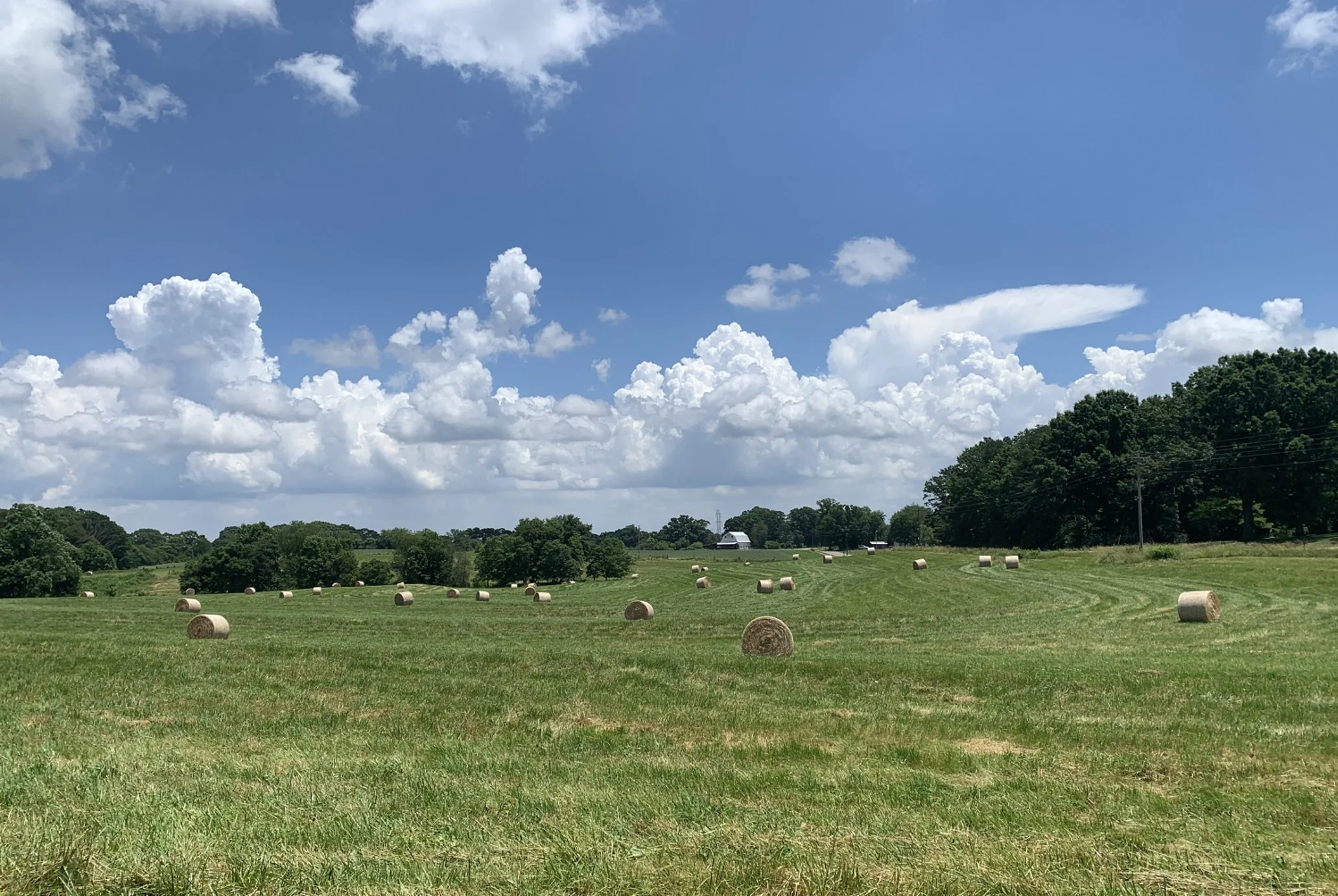North Carolina land trust permanently preserves organic family farm ...