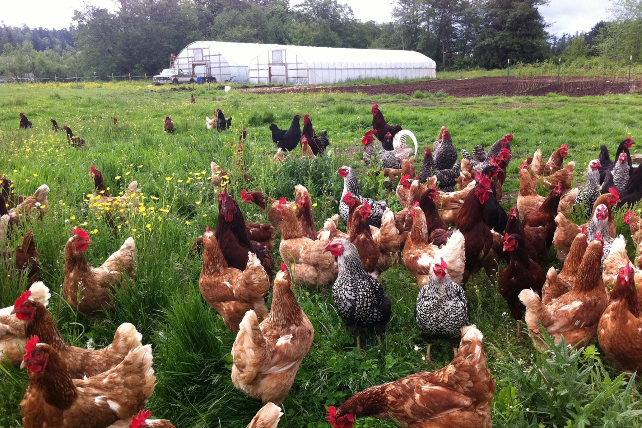 A natural system - Land Trust Alliance