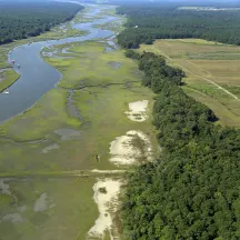 South Carolina - Land Trust Alliance
