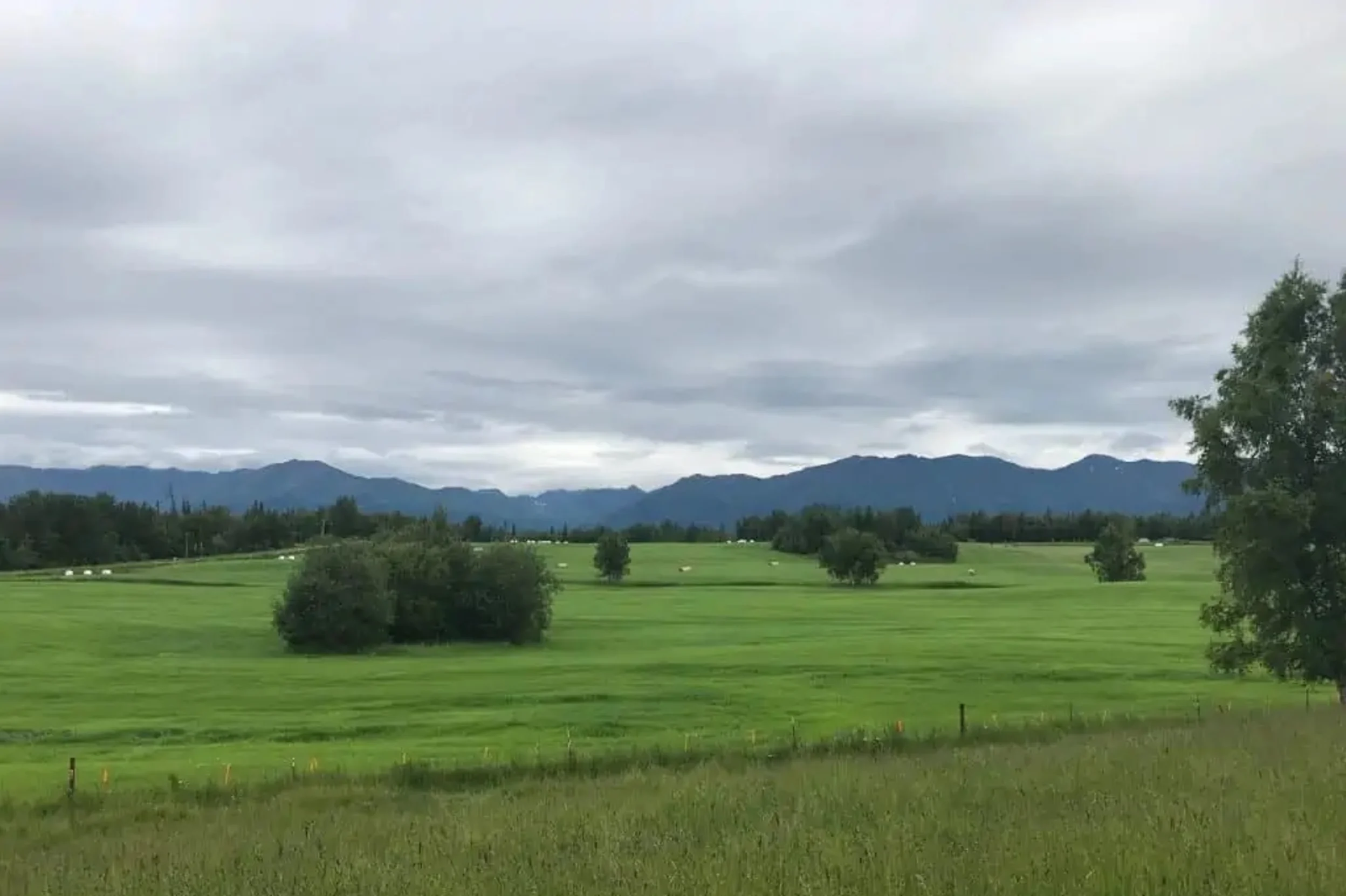 As temperatures rise, farms are sprouting in Alaska - Land Trust Alliance