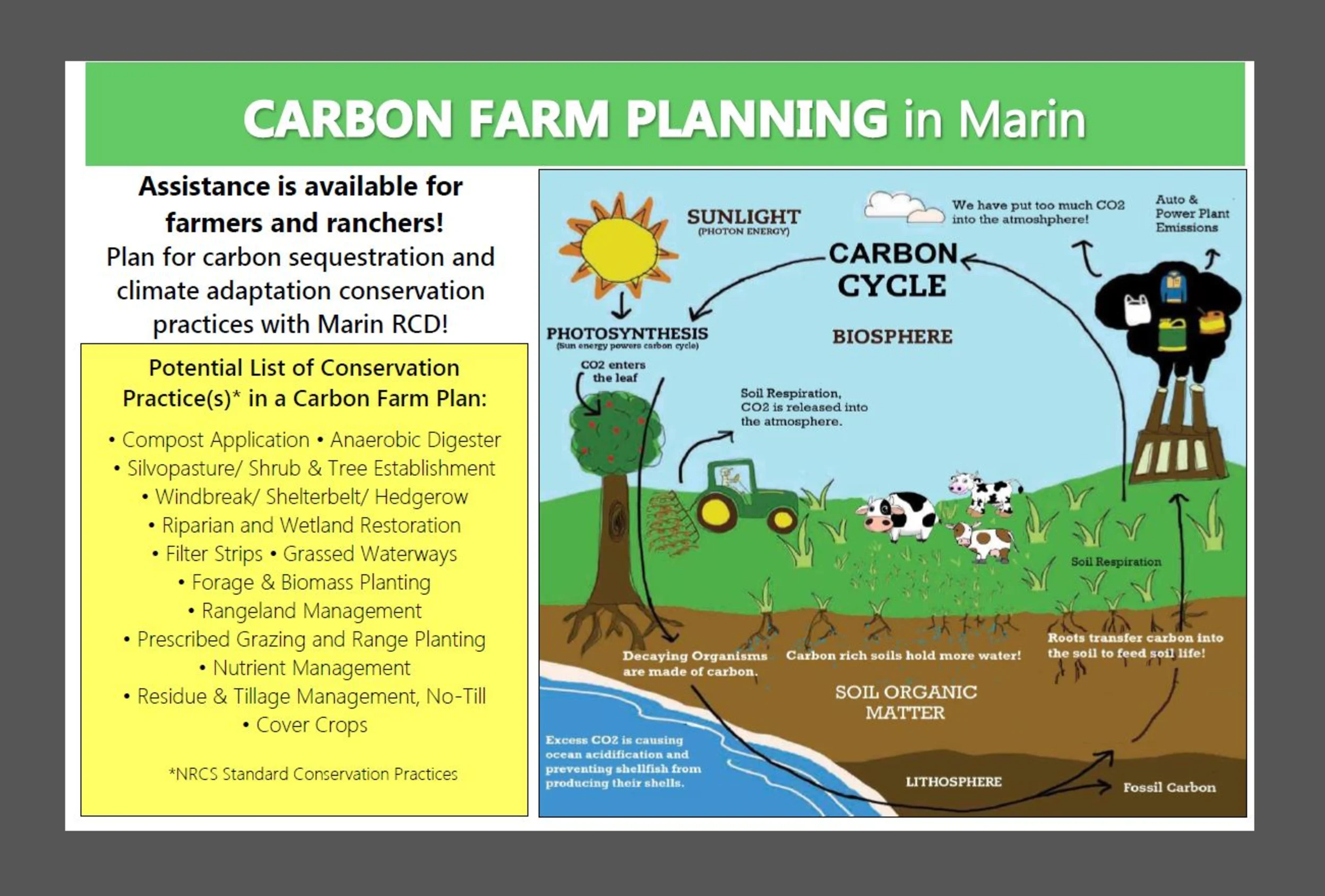Enhancing Carbon Sequestration - Land Trust Alliance