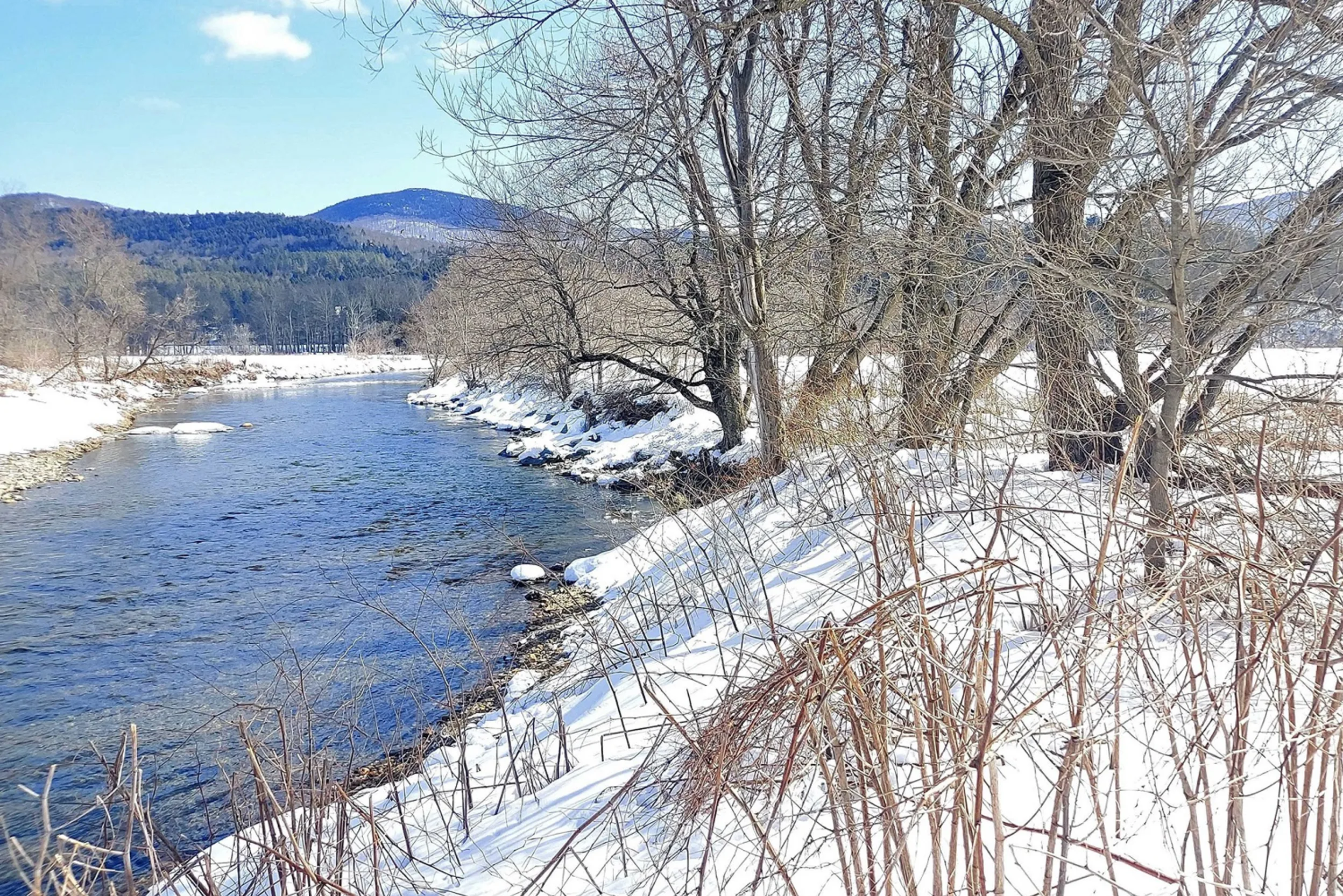 A first-of-its-kind project will advance river conservation, climate ...