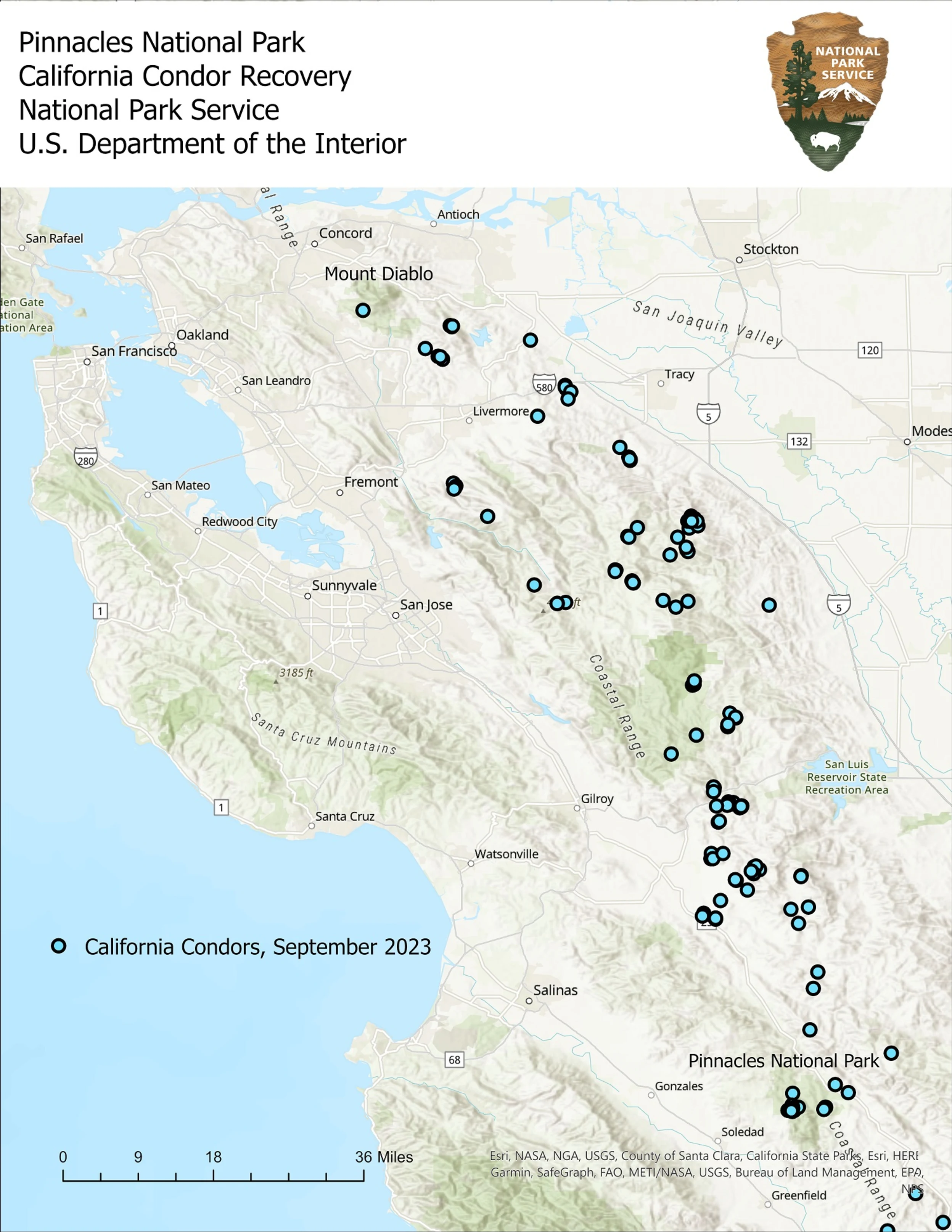 California condors return to Mount Diablo - Land Trust Alliance